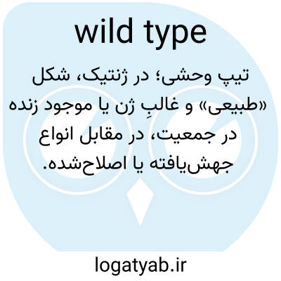 wild type یعنی چه؟ ترجمه wild type به فارسی | نوع وحشی به انگلیسی